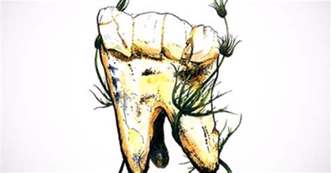 Hace Tres Millones De Años Nuestros Ancestros Eran Vegetarianos Infobae