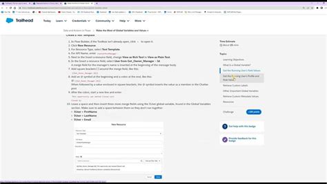Data And Actions In Flows Make The Most Of Global Variables And Values Trailhead Hindi