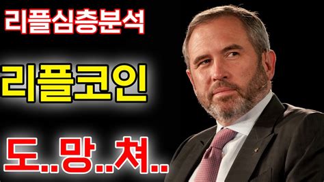 리플코인 이거 진짜입니까 무섭다 무서워 리플 리플코인 리플전망 코인전망 코인상담 코인분석 비트코인 알트코인 Youtube