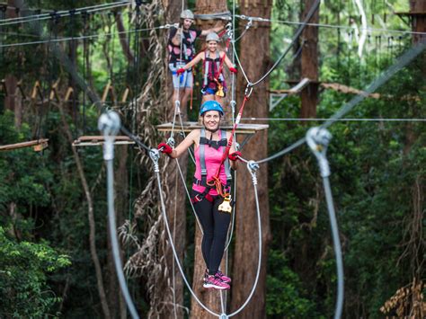 TreeTop Challenge Sunshine Coast Big Pineapple Adventure Park