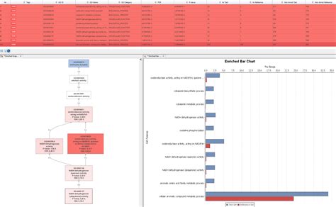 Fisher S Exact Test Enrichment Analysis