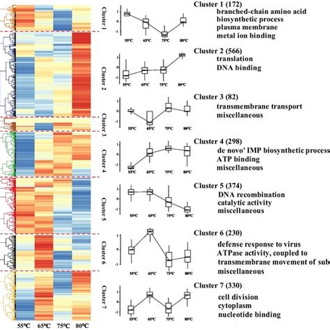 Clustering Analysis For Proteome Data Data Were Normalized Before