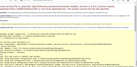 Error While Instrumenting Beta Version With Netcoreapp31 Application