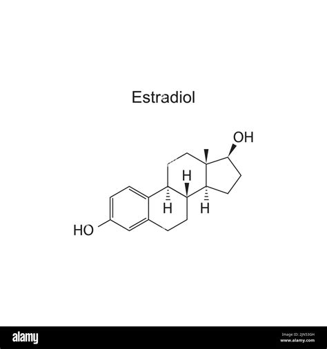 Estradiol Hormone Molecular Structure On White Background Vector