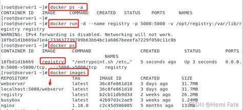 如何创建一个私有的Docker仓库_docker搭建个人仓库-CSDN博客