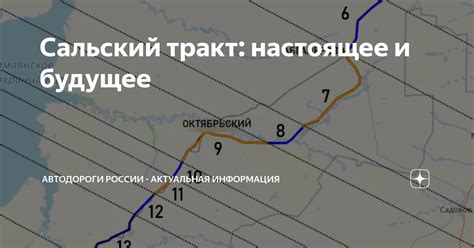 Сальский тракт: настоящее и будущее | Автодороги России - актуальная ...