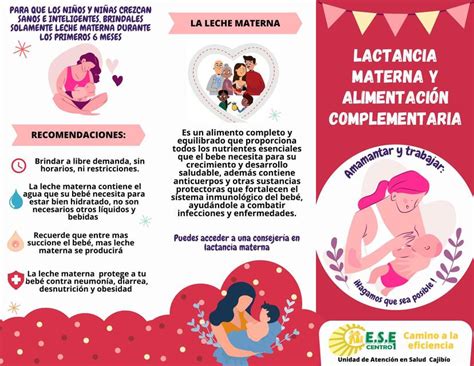 Folleto Lactancia Materna Jessie Udocz