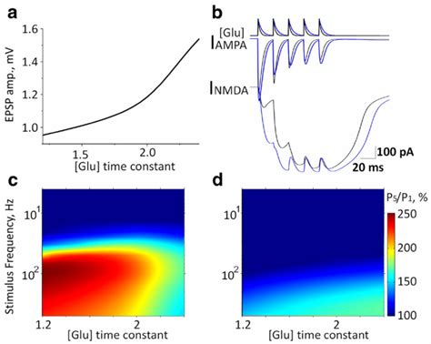 Application Of Neuron Based Model To Determine The Effects Of Glutamate Download Scientific