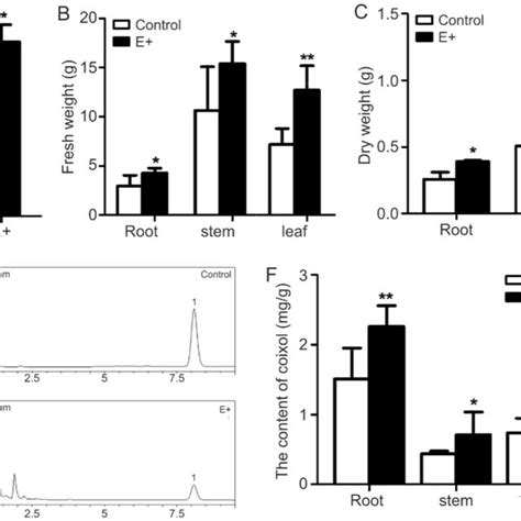 Endophyte Seed Transmission Rate For Each Endophyte Strain In Their