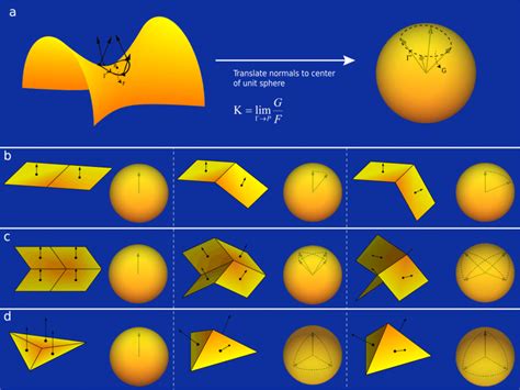Gauss Spherical Representation Of The Gaussian Curvature A Download Scientific Diagram