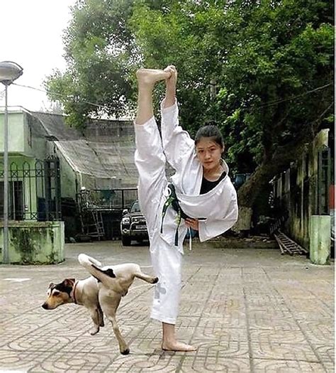 Turbo Girls Porn Pictures Xxx Photos Sex Images 1089070 Pictoa