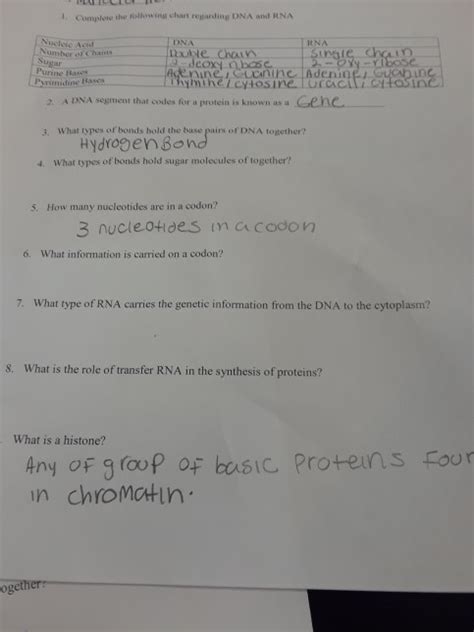 Solved Complete The Following Chart Regarding DNA And RNA Chegg