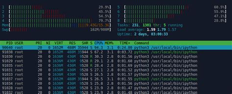 Multiprocessing Python Program Inside Docker Stack Overflow