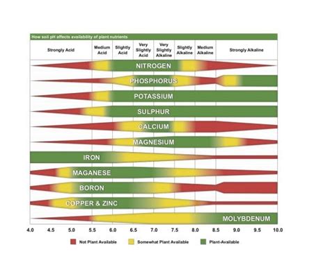 Soil Ph Nutrient Availability Chart