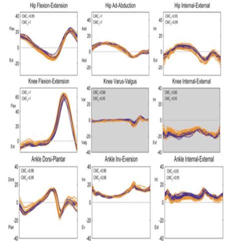 14 Example Of Hip Knee And Ankle Kinematics Measured By Xsens Orange Download Scientific