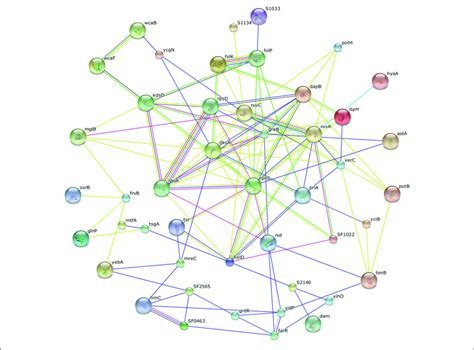 Interactome Analysis Of The Final Metabolic Proteins Download Scientific Diagram