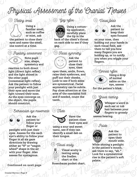 Cranial Nerve Edition Of That Nursing Study Guide Printable Cheat Sheet For Nurses Nursing