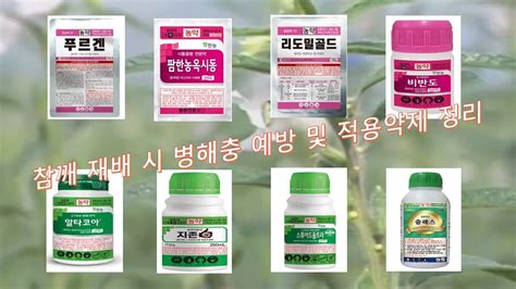 참깨의 주요 병해충의 방제 방법 및 적용약제 Youtube