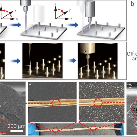 Pdf Programmable Spatial Deformation By Controllable Off Center