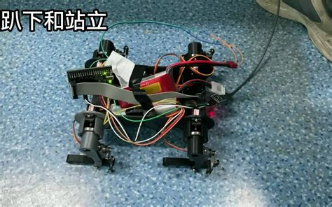 业余玩家的第一只手搓四足机器人 基于stm32芯片 哔哩哔哩