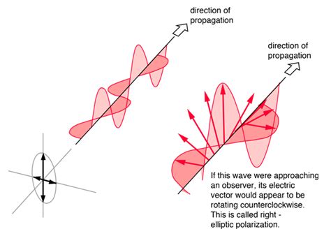 Classification Of Polarization
