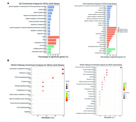 GO Functional Annotation And KEGG Pathway Enrichment Analysis For The