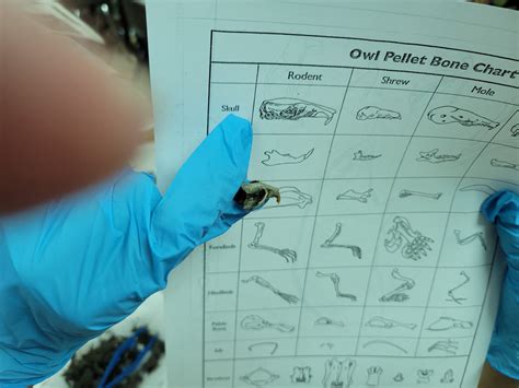 Riverside Intermediate Riverside Intermediate School