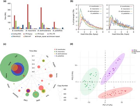 Genomes Shed Light On The Evolution Of Begonia A Mega‐diverse Genus