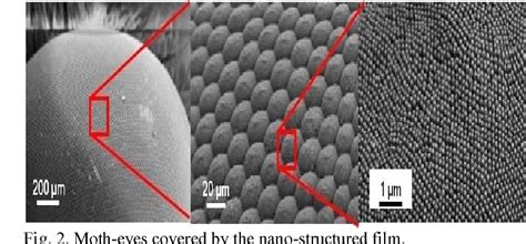 Figure 2 From Optimization Of Nano Grating Structure To Reduce The Reflection Losses In Gaas