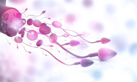 ما هو السائل المنوي؟ Dr Samir Abdelghaffar