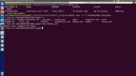 HOW COMPLETELY WORK INSIDE DOCKER CONTAINER RASA Innovate Yourself