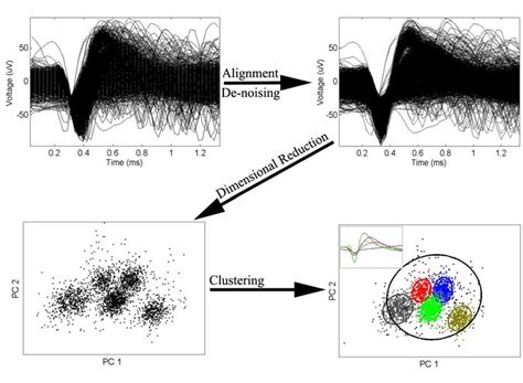 typical pre processing and analysis steps used as part of spike sorting