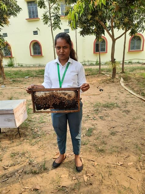 Nishu Patel On Linkedin Apiculture Training Program