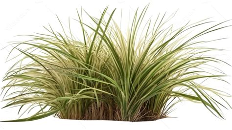 Best Lemon Grass Powerpoint Background For Presentation