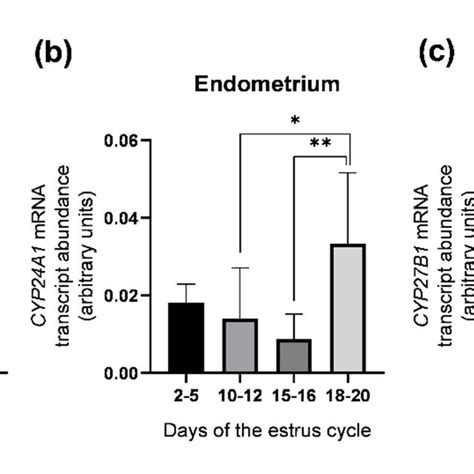 Relative Mrna Transcript Abundance Of Cyp27b1 And Cyp24a1 In The Download Scientific Diagram