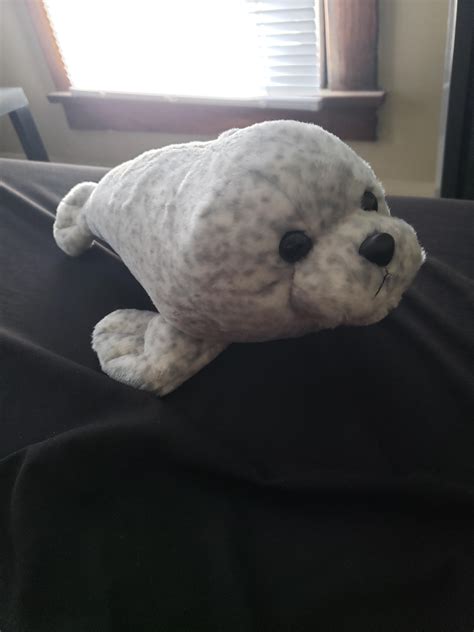 I Got This Seal Boi Yesterday And Havent Thought Of A Name Yet Any Ideas R Stuff