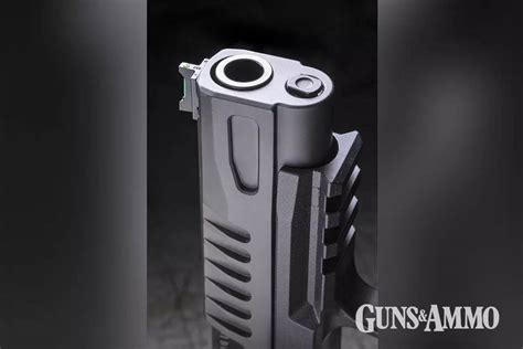 Sig Sauer P365 Fuse Full Review Guns And Ammo