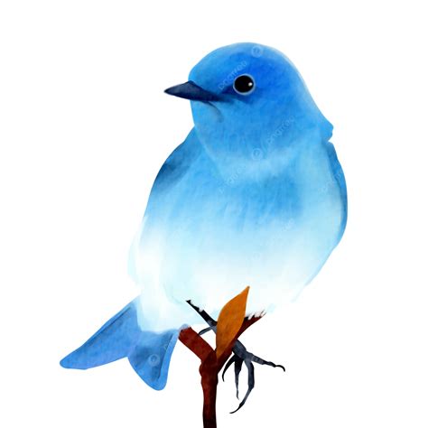 파랑새 새 파란색 수채화 Png 일러스트 및 Psd 이미지 무료 다운로드 Pngtree