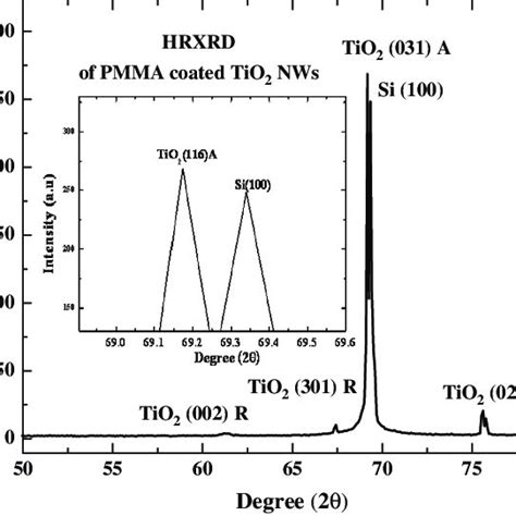 A Top View FE SEM Images Of The PMMA Coated TiO 2 NWs Enlarged Top Download Scientific