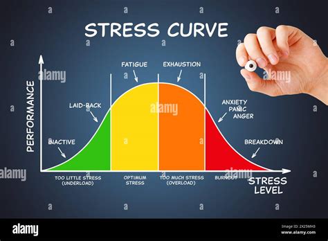 Hand Drawing Stress Curve Graph Diagram With Different Stages From