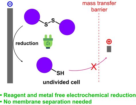 Metal‐free Electrochemical Reduction Of Disulfides In An Undivided Cell