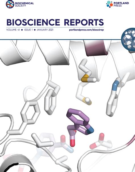 Sex Related Differences In Human Plasma Nad Nadh Levels Depend On Age Bioscience Reports