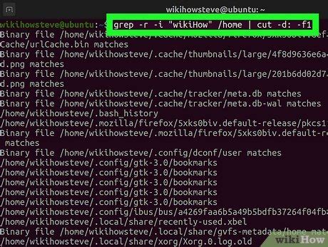 How To Find A File On Linux Search By Name Date And More