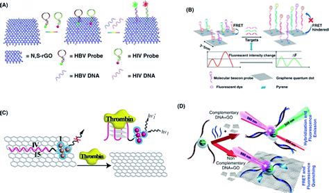A Review On Graphene Based Nanocomposites For Electrochemical And Fluorescent Biosensors Rsc