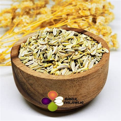 Biji Adas Manis Asli Fennel Seeds Herbal Lazada Indonesia