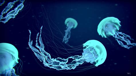 Jellyfish Desktop Wallpapers Top Free Jellyfish Desktop Backgrounds
