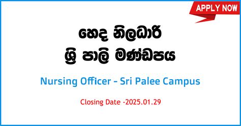 Nursing Officer Sri Palee Campus Job Vacancies 2025 Isharaiz Job Hub