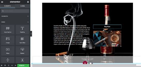 How To Create Age Verification Popup In Elementor WPPagebuilders