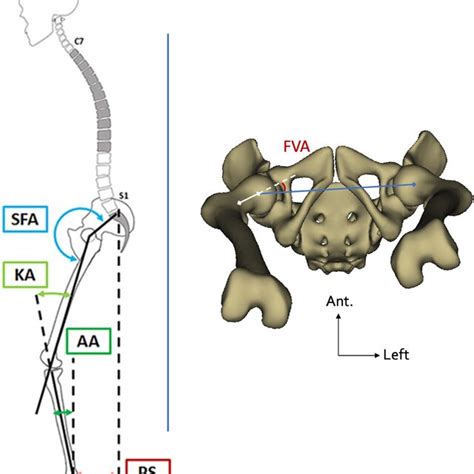 On The Left Side Representation Of Sfa Ka Aa And Ps Measurement