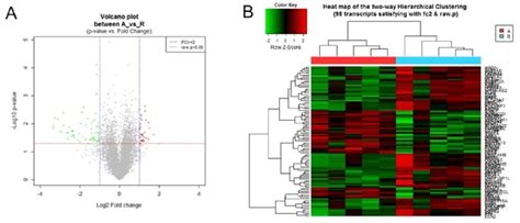Differentially Expressed Genes By Cuffdiff A Volcano Plot
